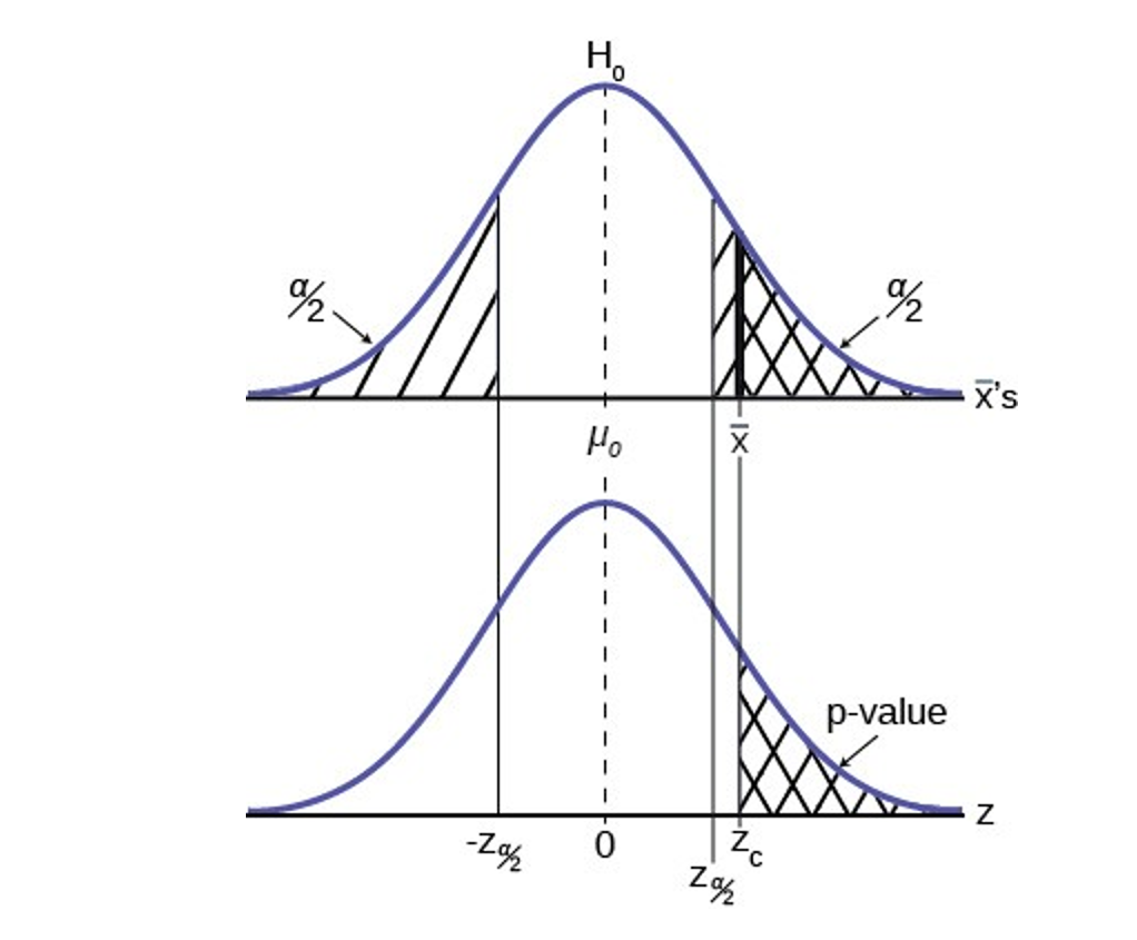 Hypothesis Testing with One Sample – Quantitative Analysis for Business