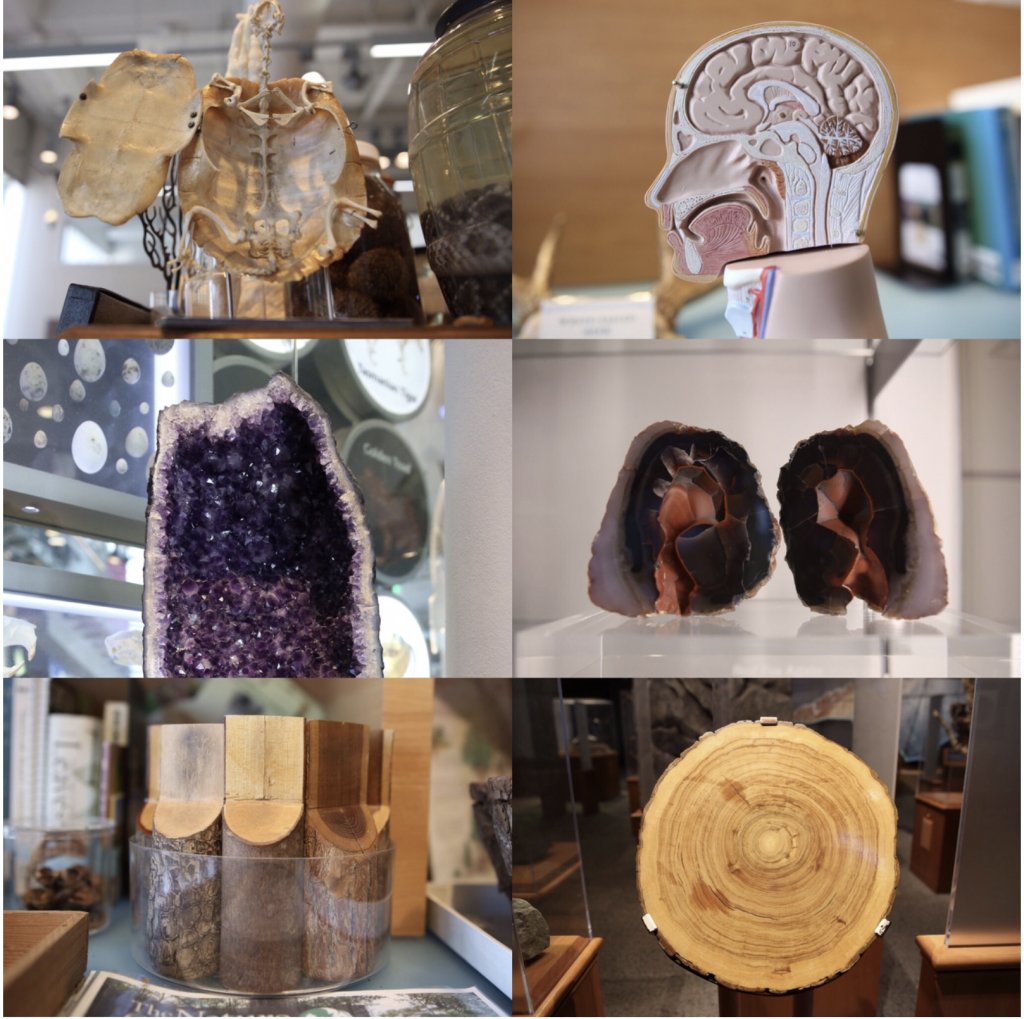 Section Views – Engineering Graphics and Design