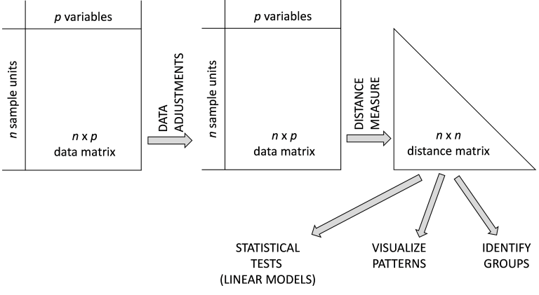 Properties Of Distance Measures Applied Multivariate Statistics In R