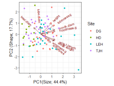 PCA – Applied Multivariate Statistics in R