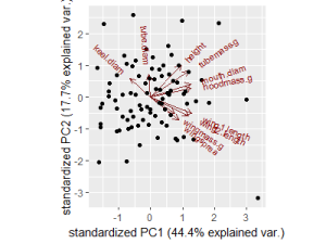 PCA – Applied Multivariate Statistics in R